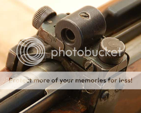 Swedish m96 rear sights identification | Gunboards Forums